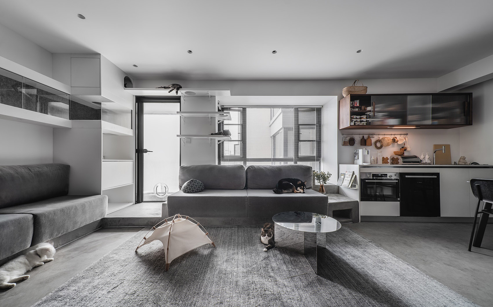 Cat & Dog Planet, Chengdu, China by GE SPACE DESIGN - 谷德设计网