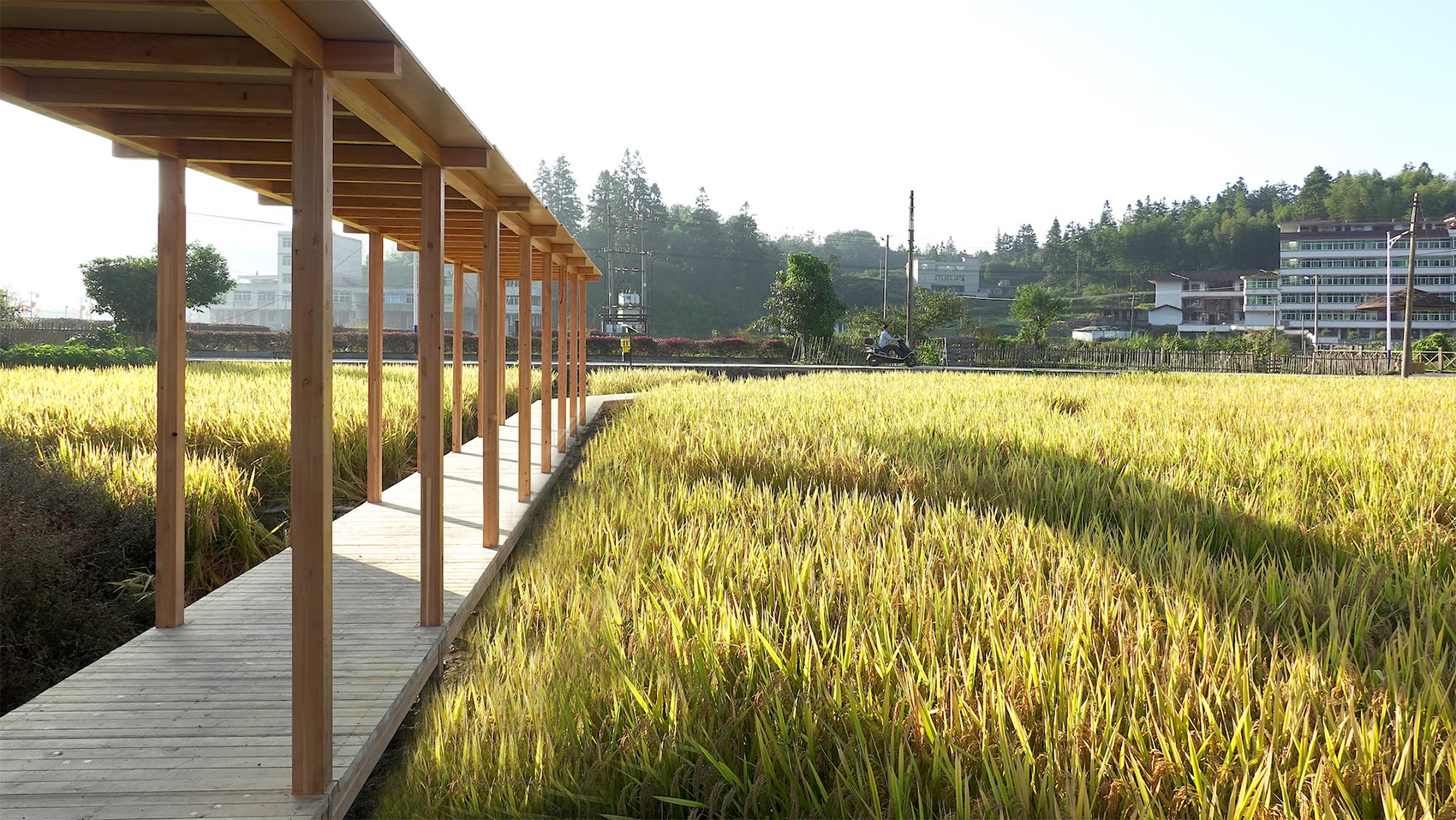 Rice Pavilion in Fujian, China by Wiki World + Advanced Architecture ...