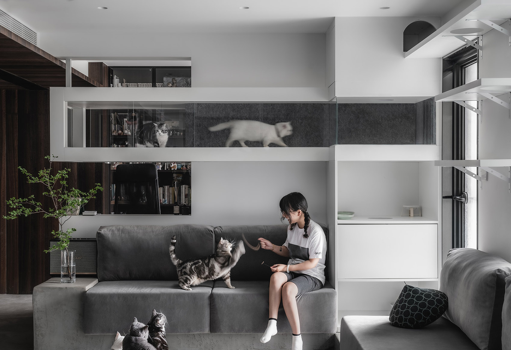 Cat & Dog Planet, Chengdu, China by GE SPACE DESIGN - 谷德设计网