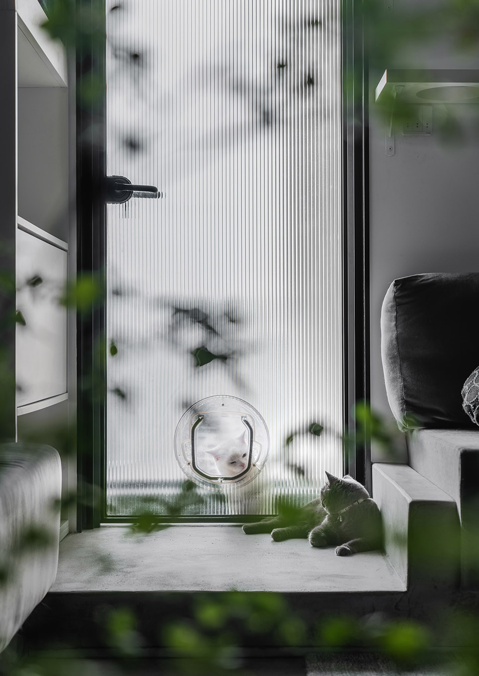 Cat & Dog Planet, Chengdu, China by GE SPACE DESIGN - 谷德设计网