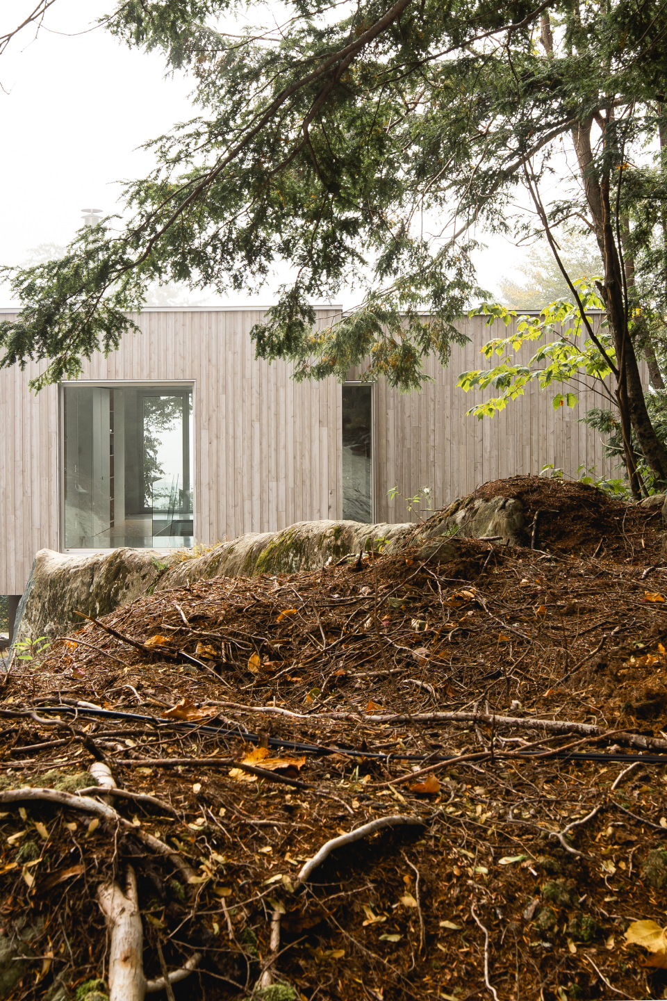 Forest House I by Natalie Dionne Architecture - 谷德设计网