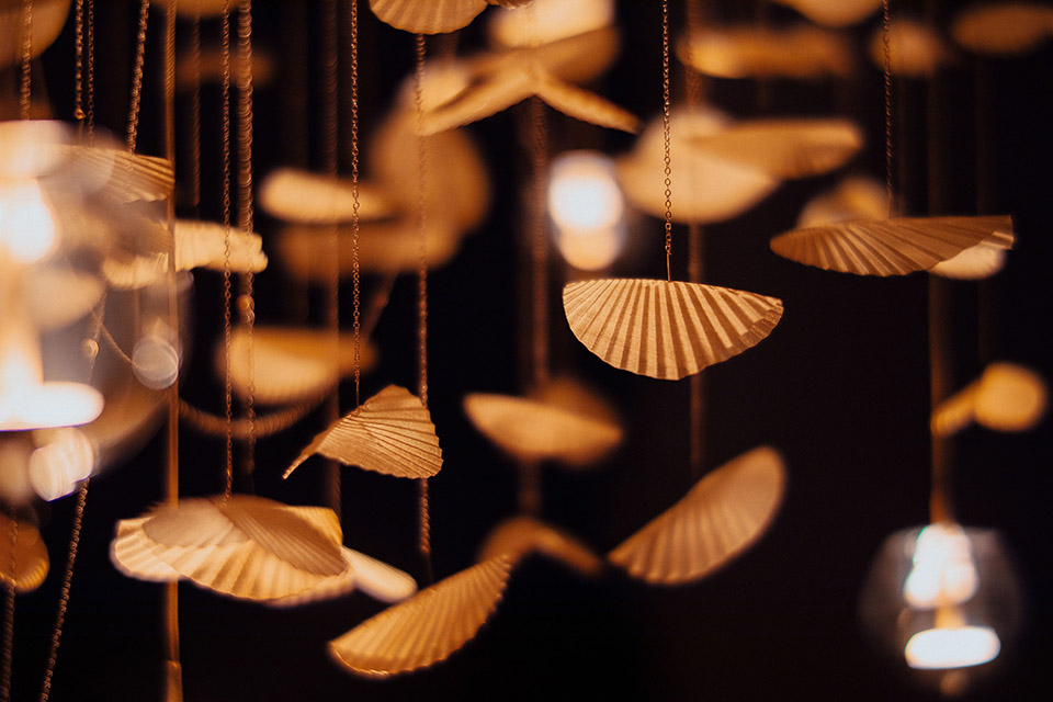 Automne collection by Larose Guyon - 谷德设计网