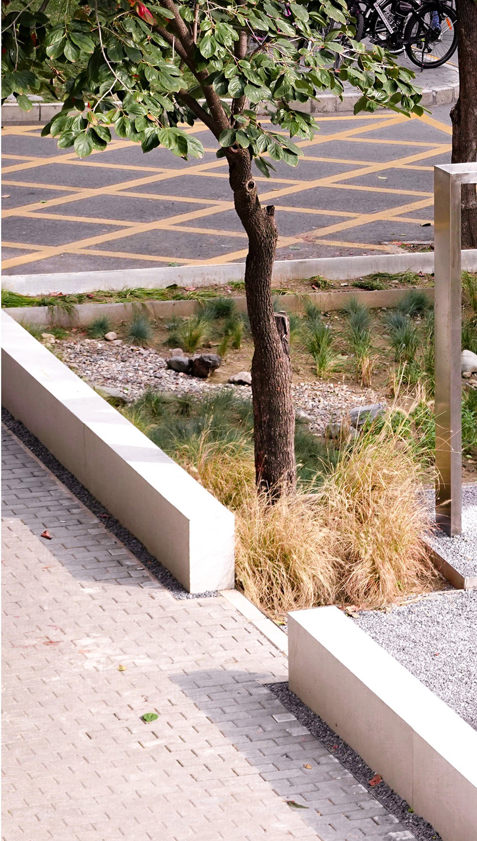 Harvesting Raingarden, Oasis in a high-density campus, China by DBPA of ...