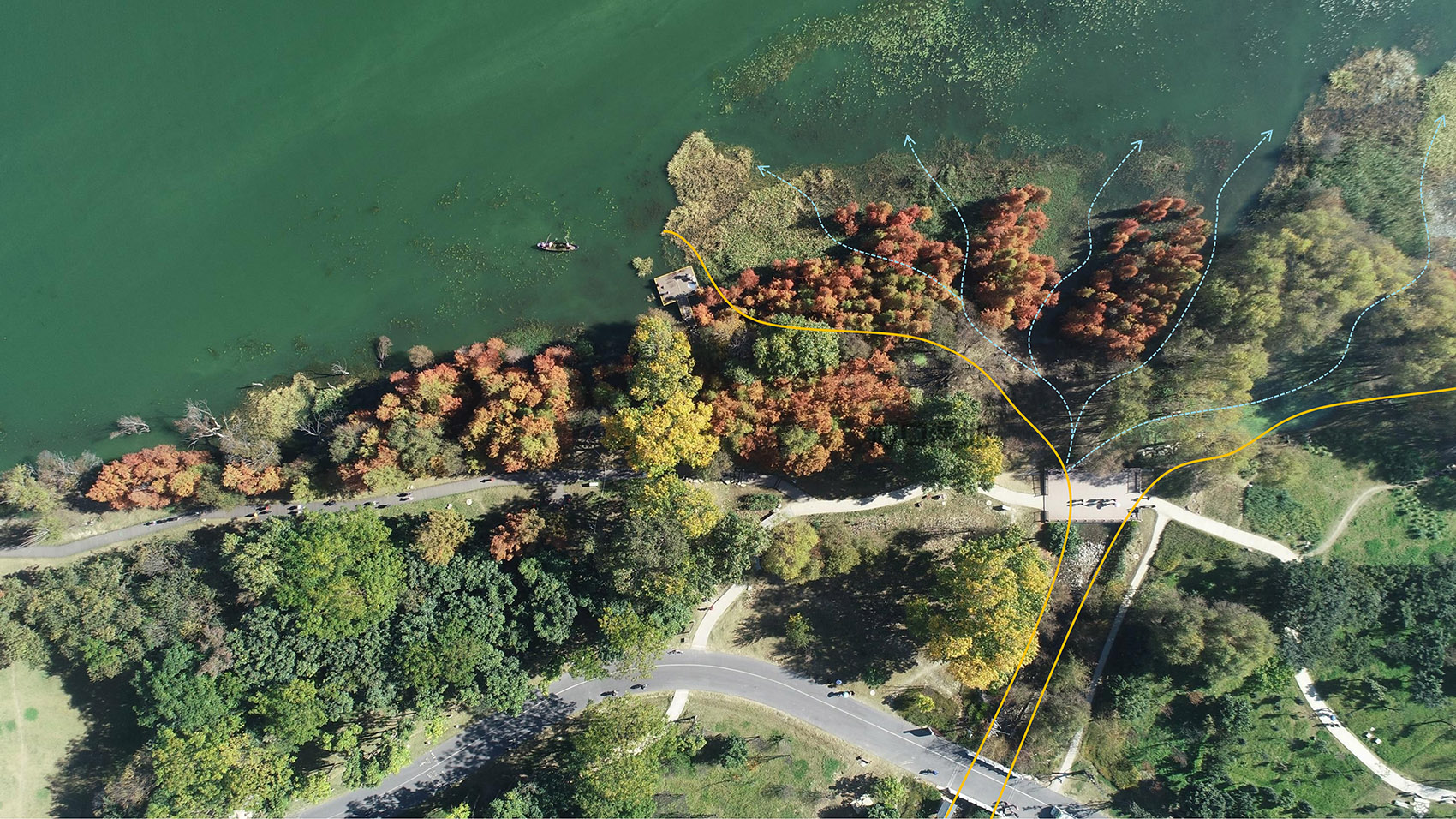 Ecological Restoration Design of Erhai Lake Riparian Buffer Zone ...