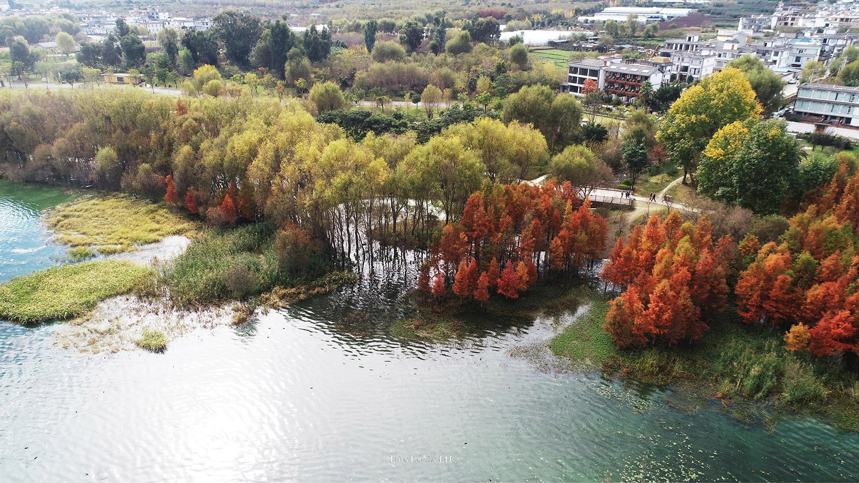 Ecological Restoration Design of Erhai Lake Riparian Buffer Zone ...