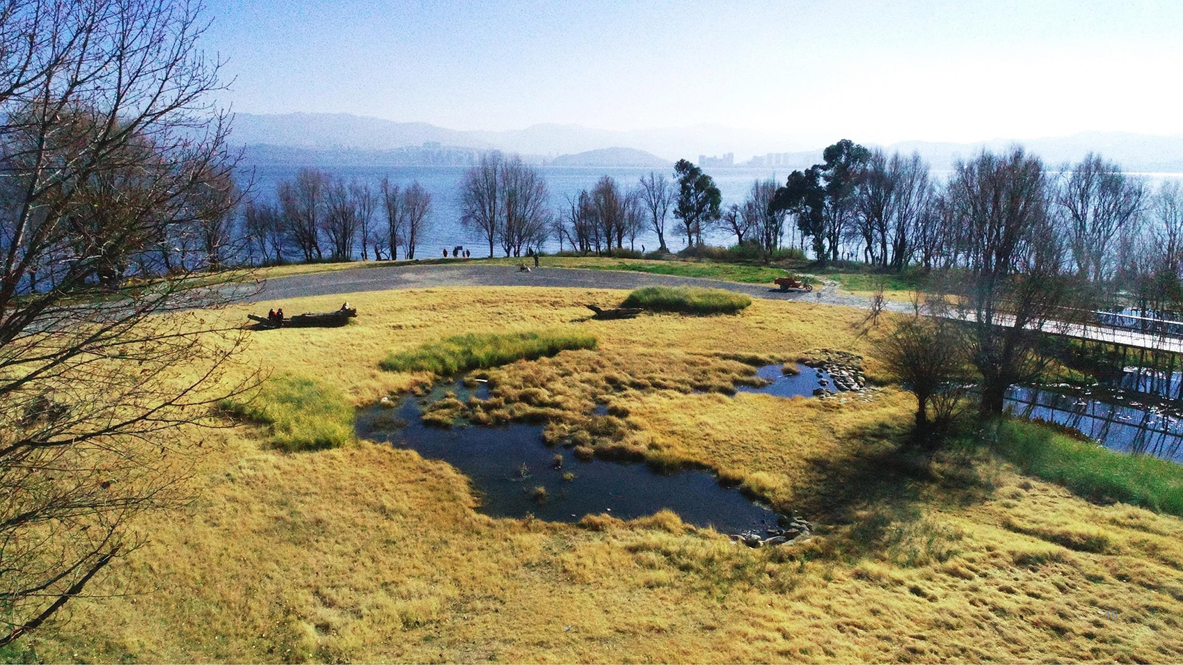 Ecological Restoration Design of Erhai Lake Riparian Buffer Zone ...