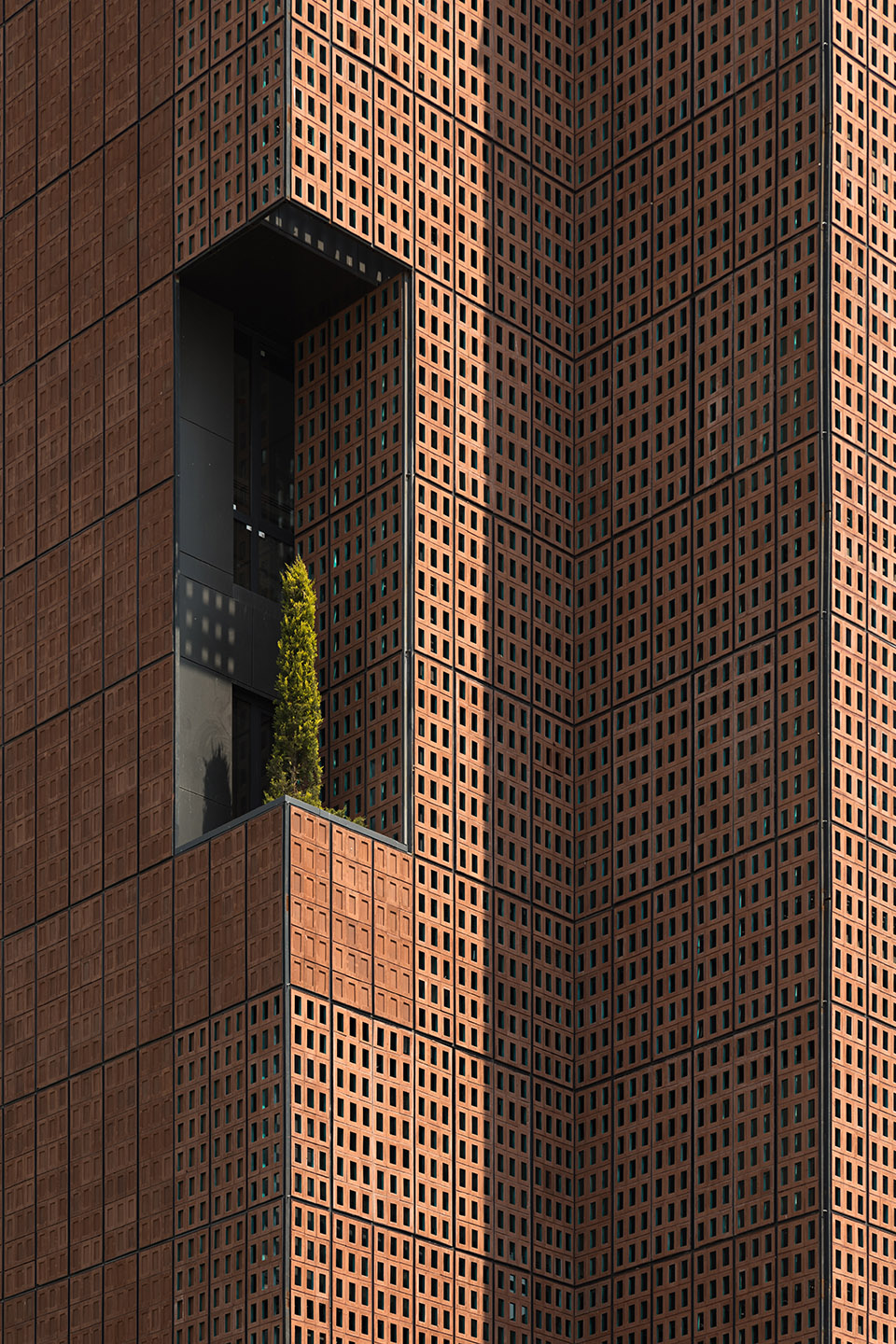 Sharif Office Building by Hooba design - 谷德设计网