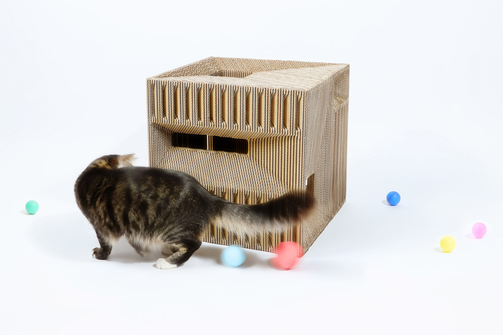 Cat Cube, China by Lei Du - 谷德设计网