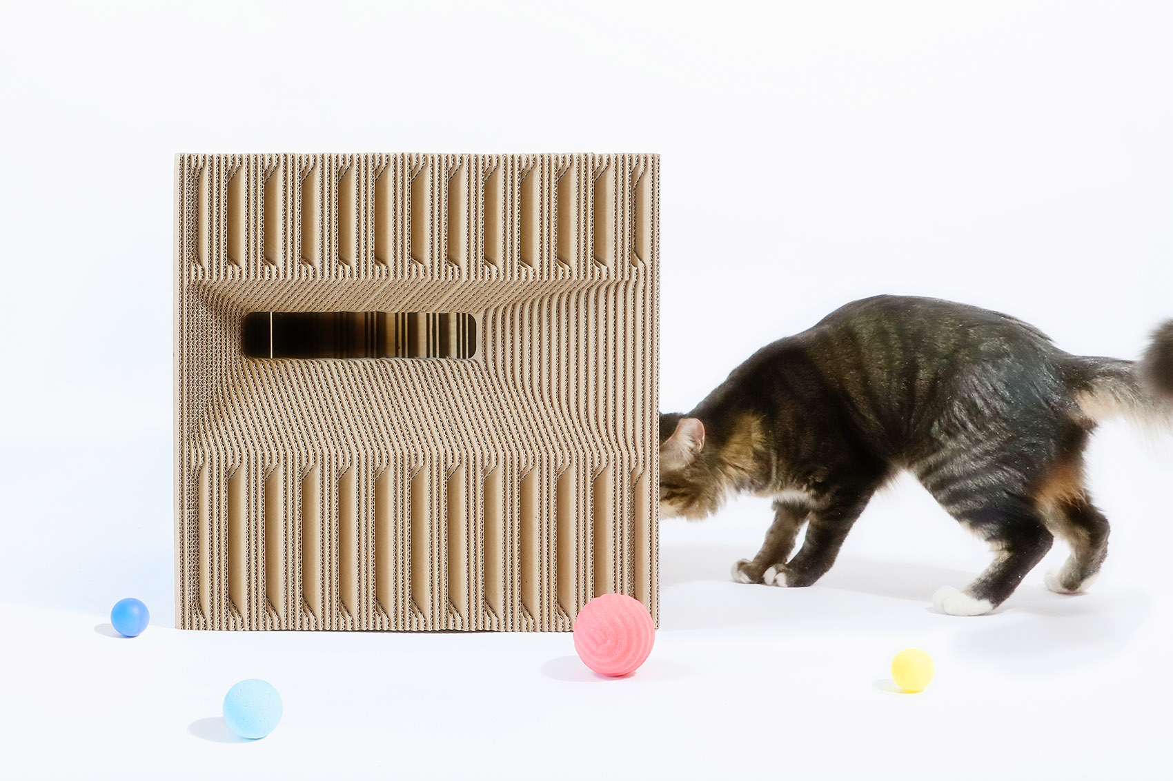 Cat Cube, China by Lei Du - 谷德设计网