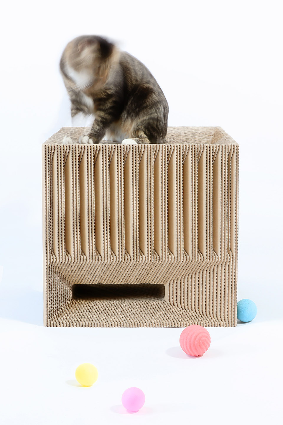 Cat Cube, China by Lei Du - 谷德设计网