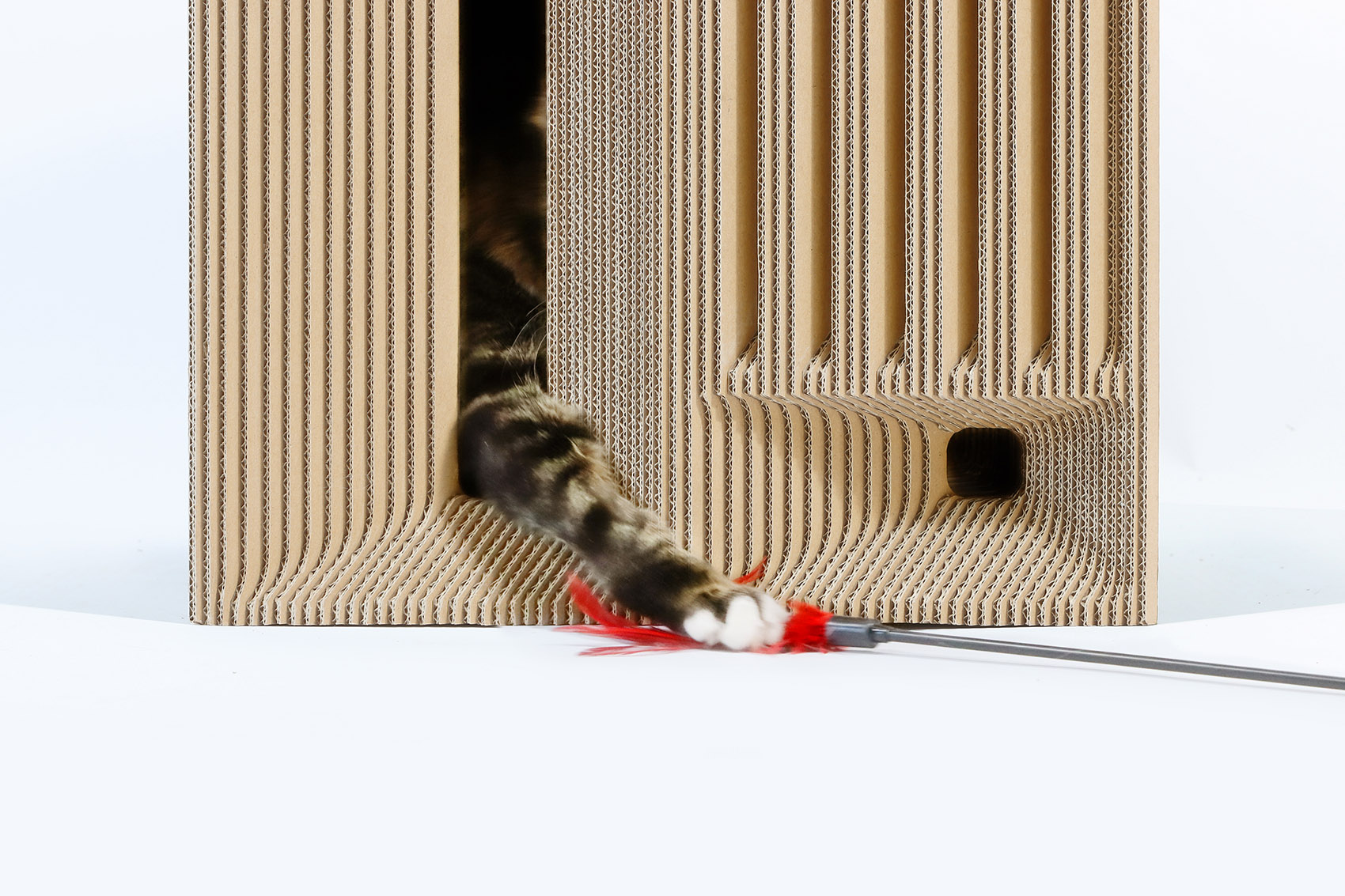 Cat Cube, China by Lei Du - 谷德设计网