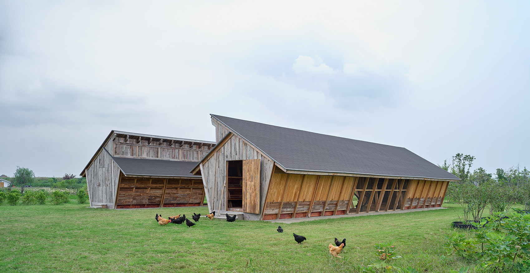 Næra Hotel, Chicken Coop, China by Leeko Studio - 谷德设计网