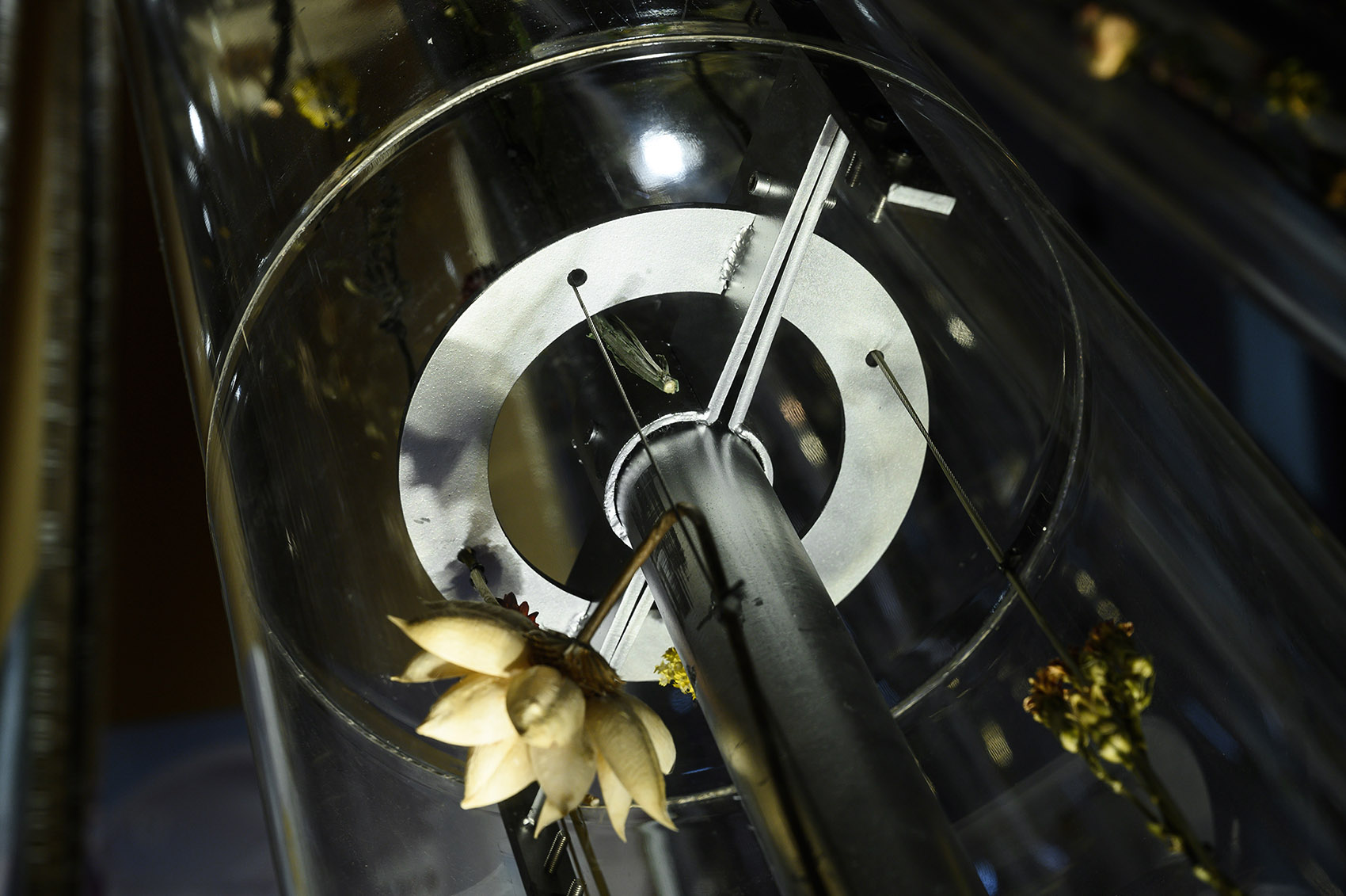 Joints Pavilion III Sand Clock Installation, China by Roarc Renew - 谷德设计网