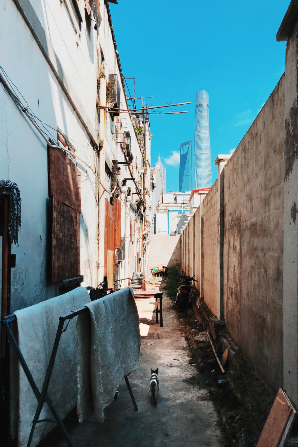 SECTION CITIES by Junfeng Wang - 谷德设计网