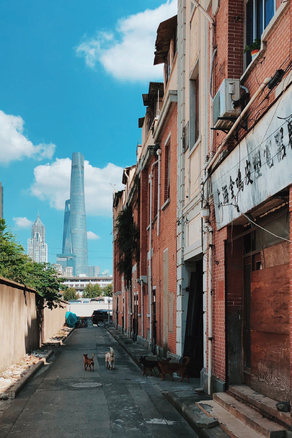 SECTION CITIES by Junfeng Wang - 谷德设计网