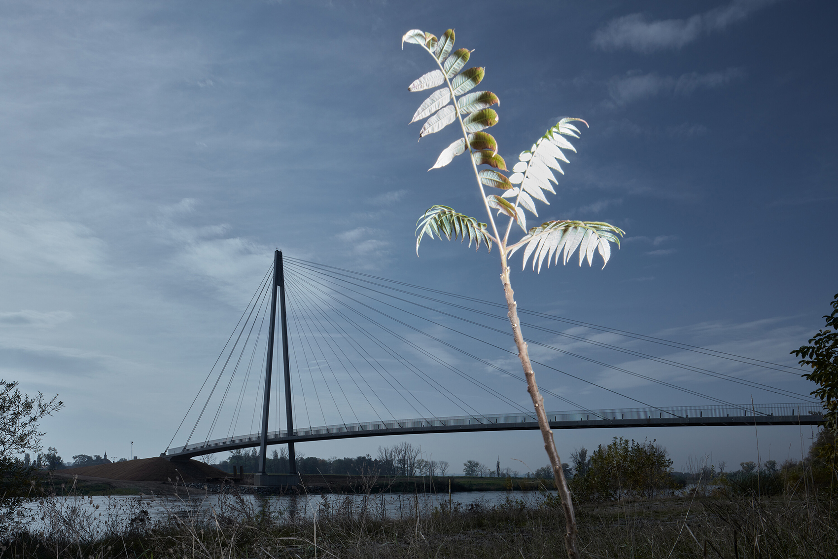 UHPFRC Footbridge by Petr Tej + Marek Blank + Jan Mourek - 谷德设计网