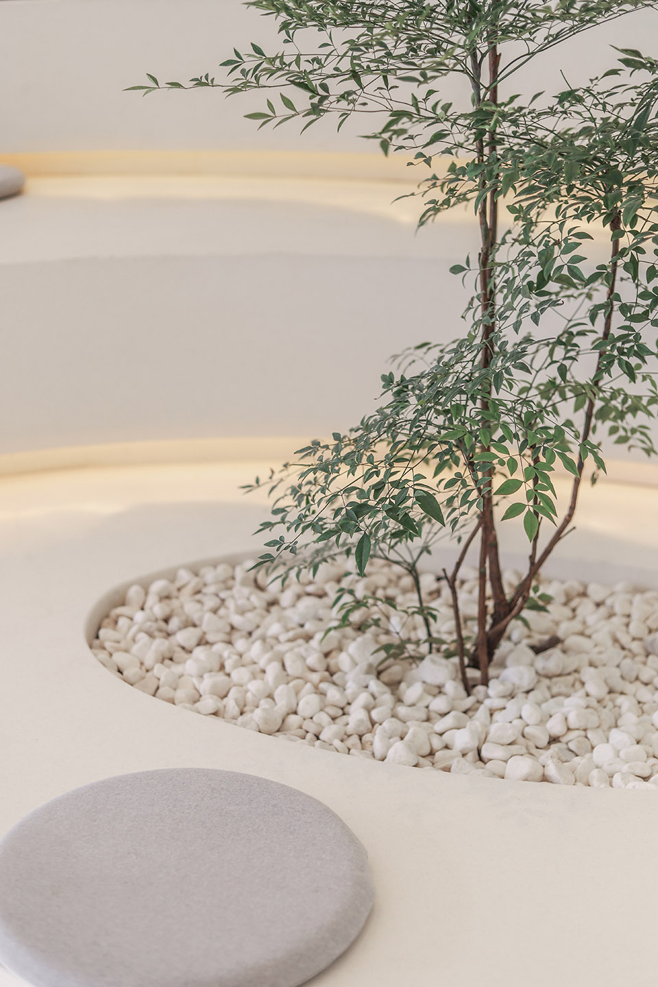 Get-Project Case Sharing No.12: ¥60,000 Design Fee, “BLUE BEAR” Store ...