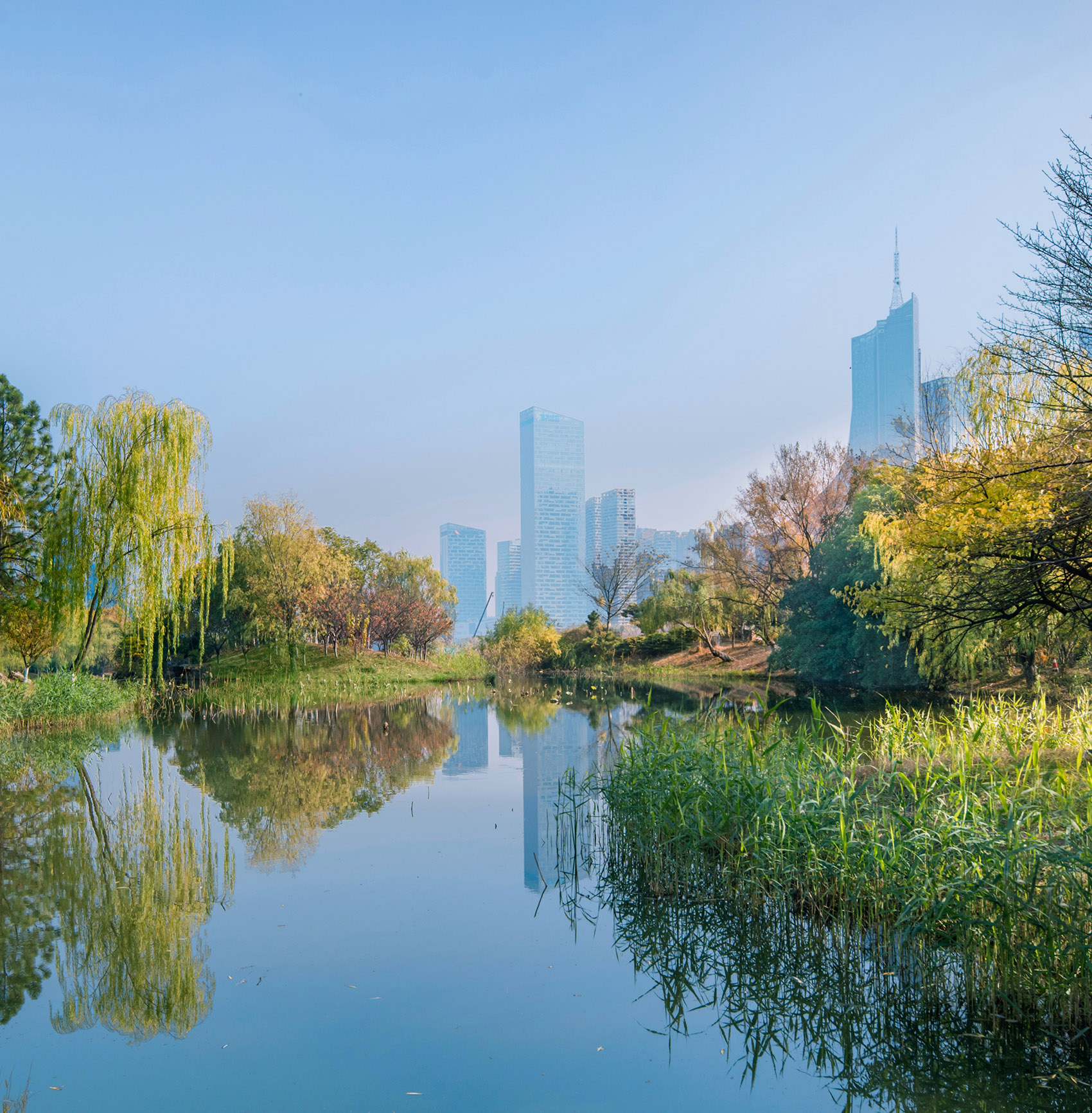 Hefei New Municipal and Culture District Swan Lake Park by L&A Design ...