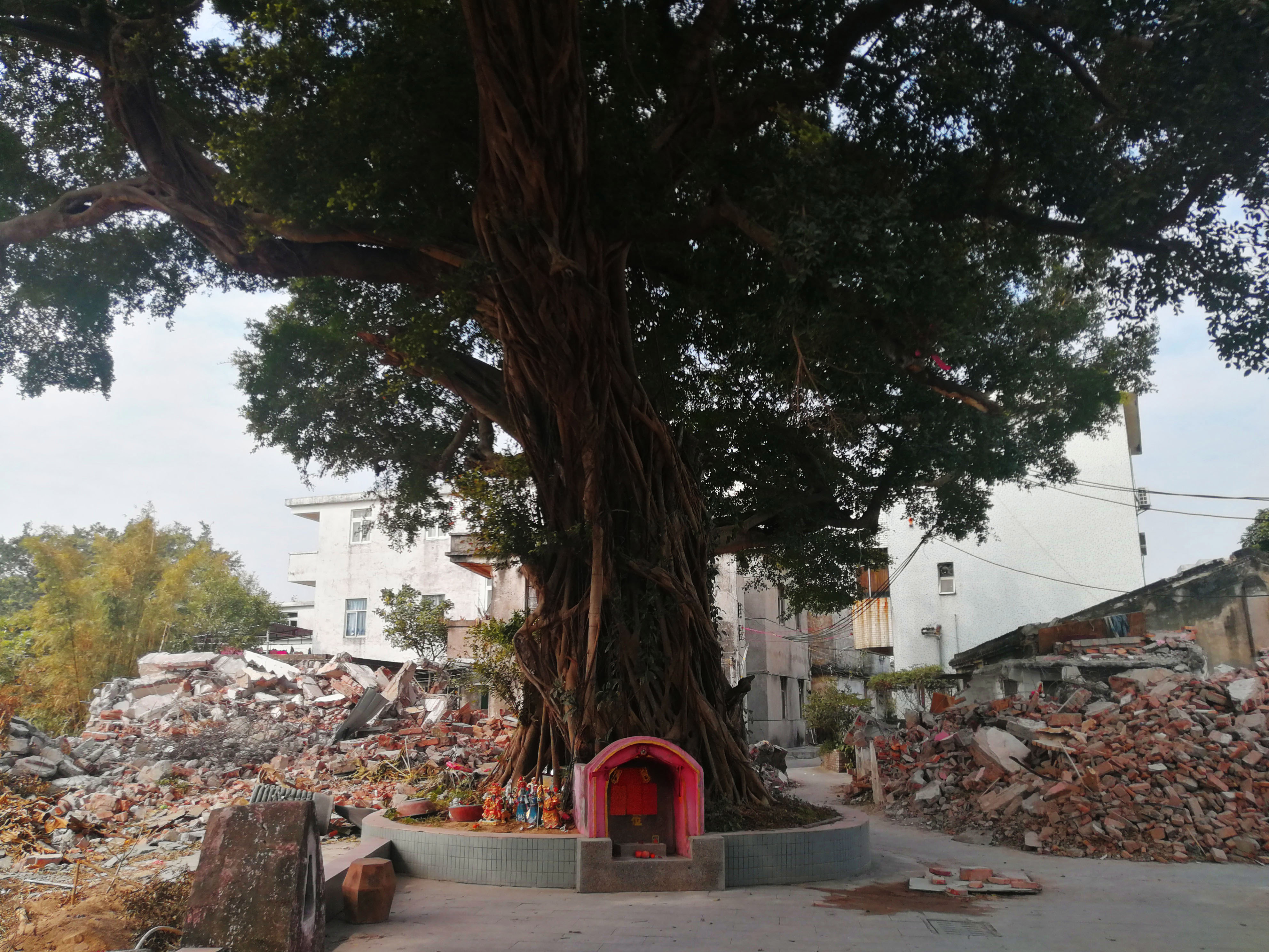 A Village under the Dome – MAD unveils their design of Zhuhai Cultural ...