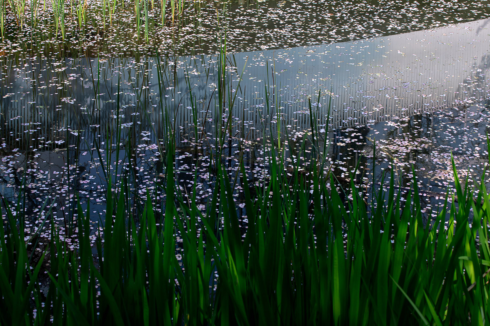 Chengdu Luxelakes Kayak Channel Landscape Project, China by WISTO ...