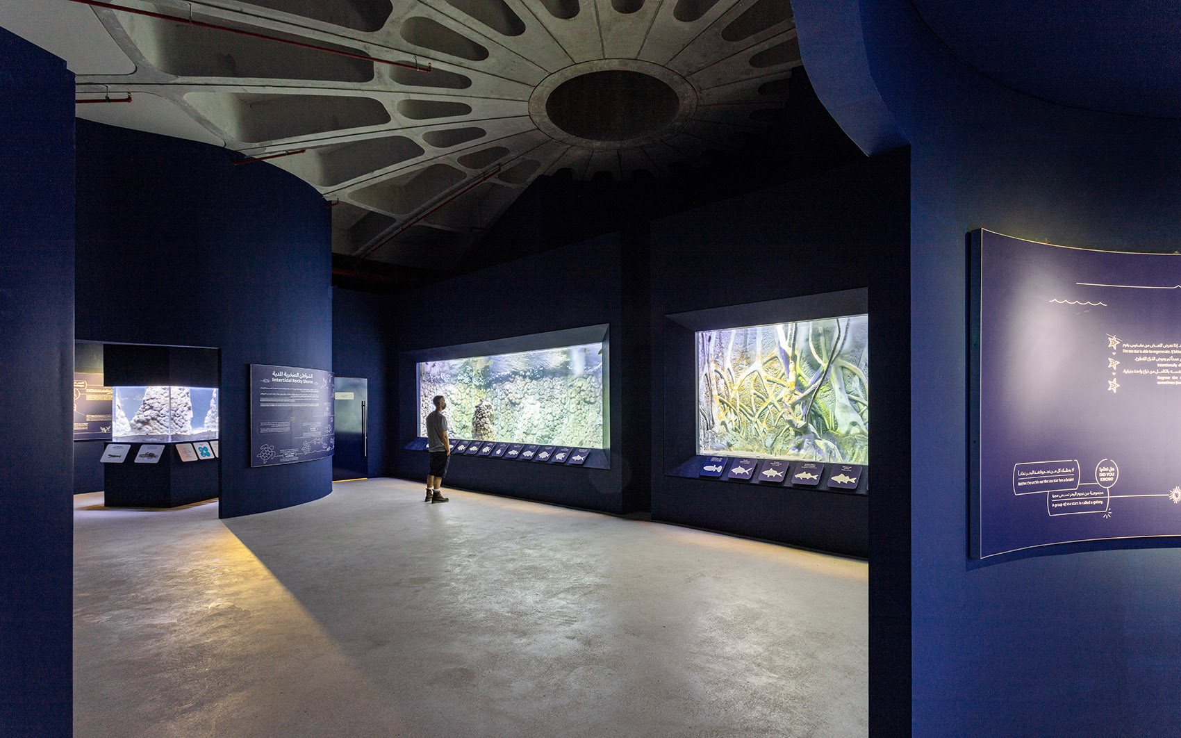 Turtle Sanctuary at Kalba Mangrove Reserve by Hopkins Architects - 谷德设计网