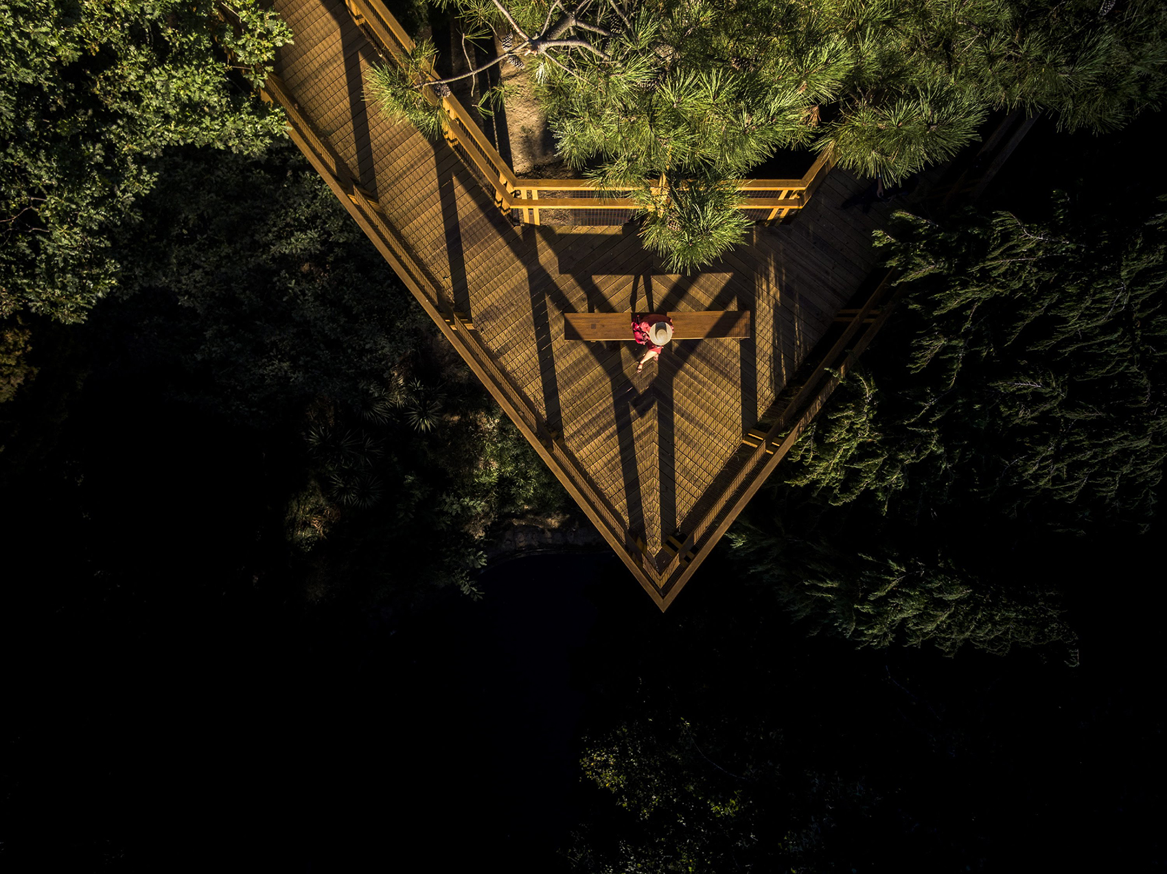 TREETOP WALK SERRALVES by Carlos Castanheira - 谷德设计网