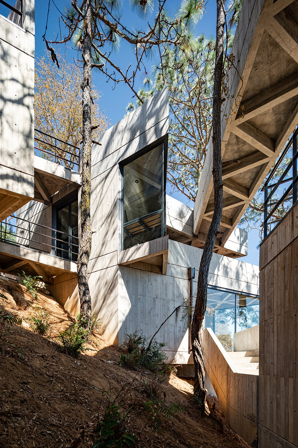 Silk Worm Sanctuary by LAMZ Arquitectura - 谷德设计网