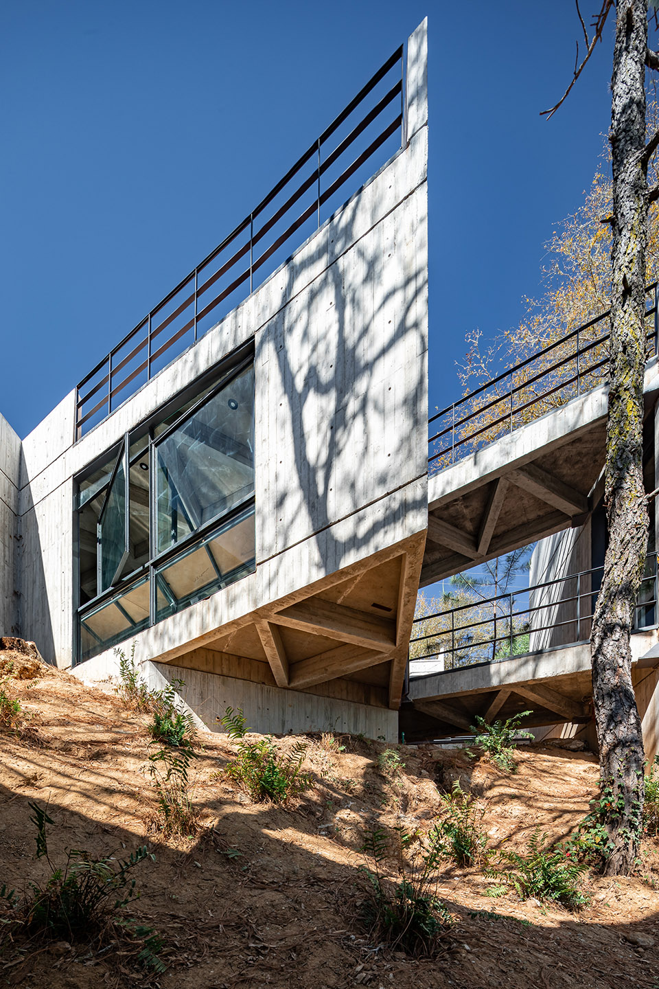 Silk Worm Sanctuary by LAMZ Arquitectura - 谷德设计网