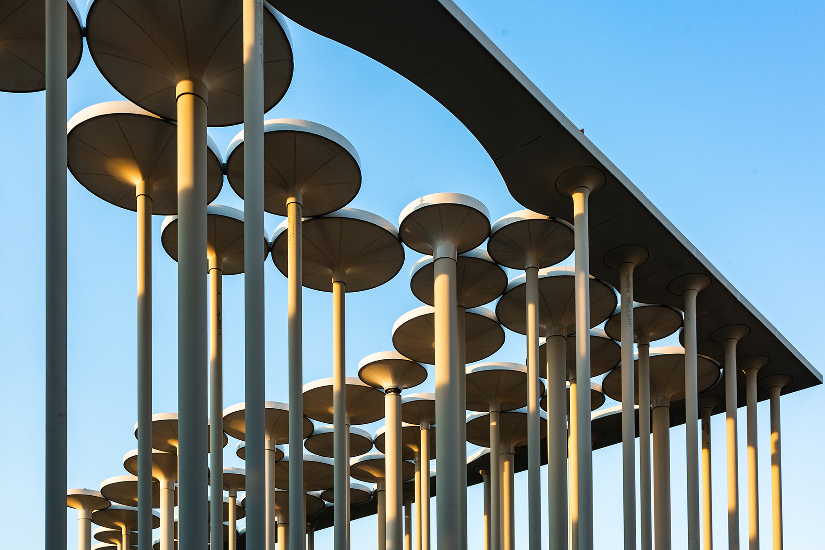 SAB by ACME - 谷德设计网