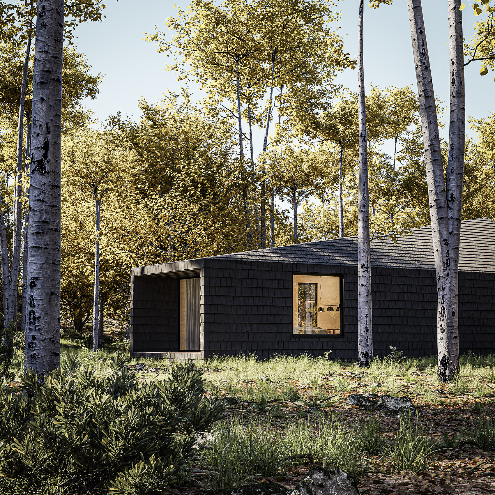 CANTON House, Romania by Marc Thorpe Design - 谷德设计网