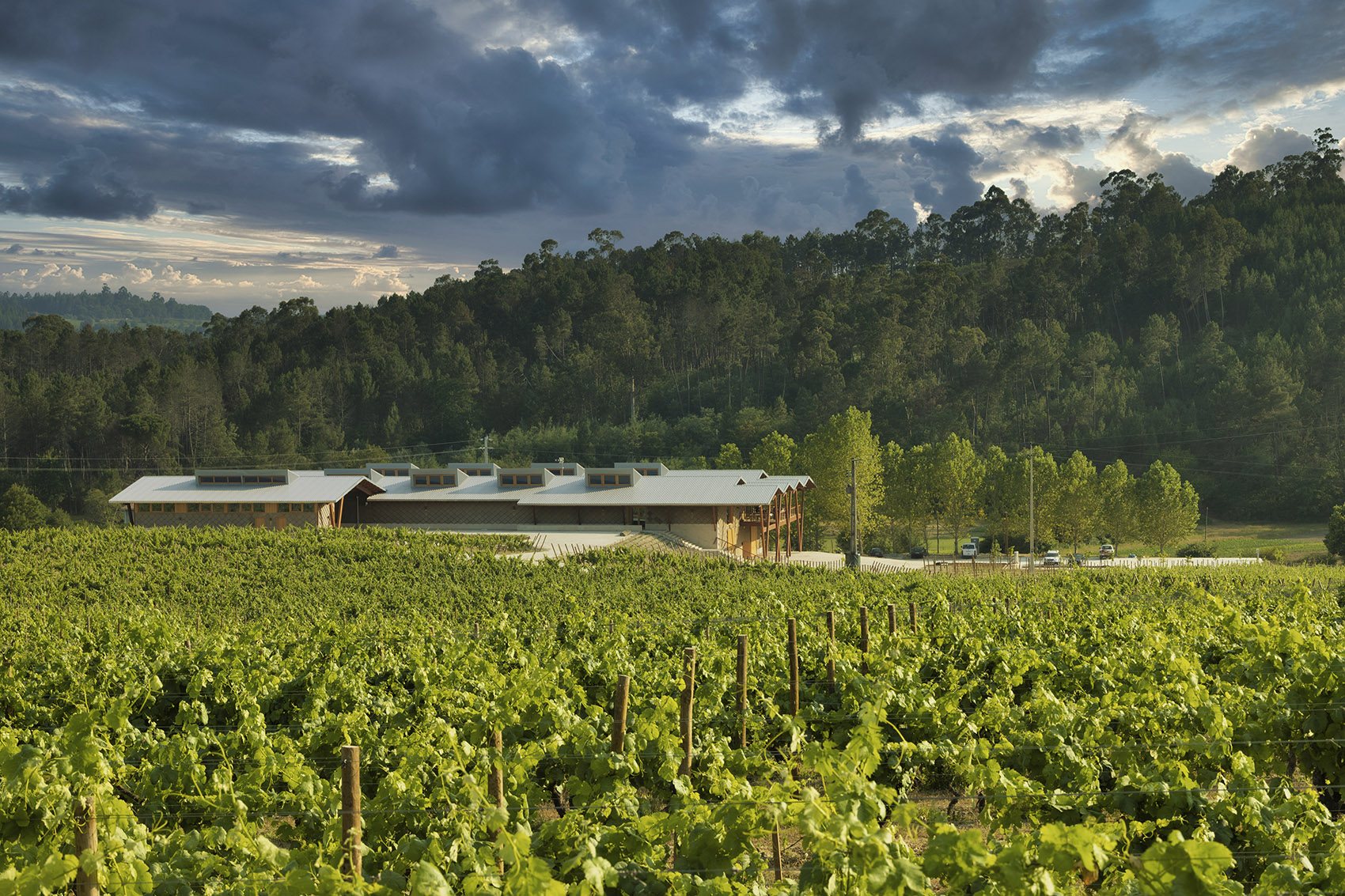 Taboadella Winery by Carlos Castanheira - 谷德设计网