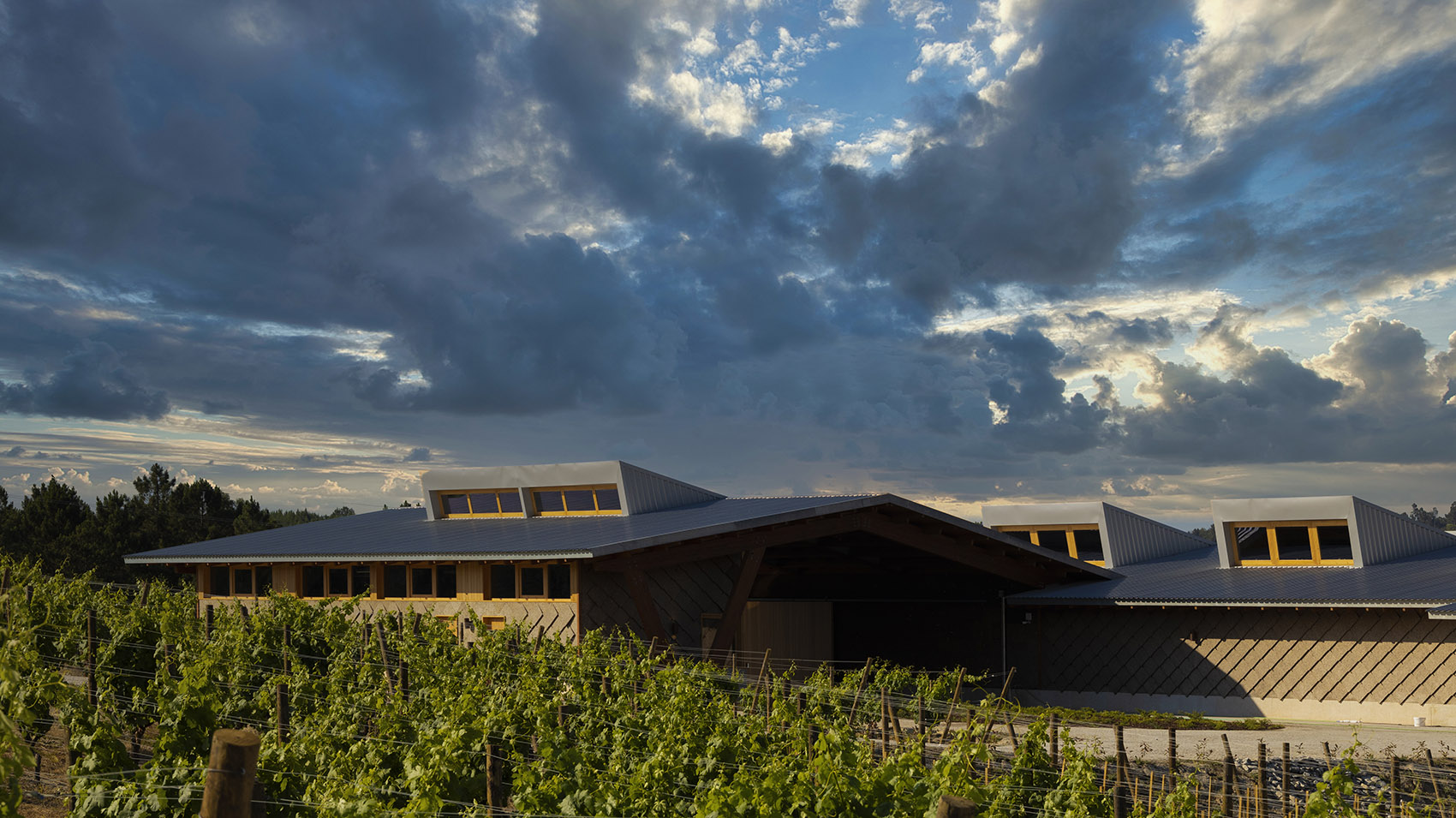 Taboadella Winery by Carlos Castanheira - 谷德设计网