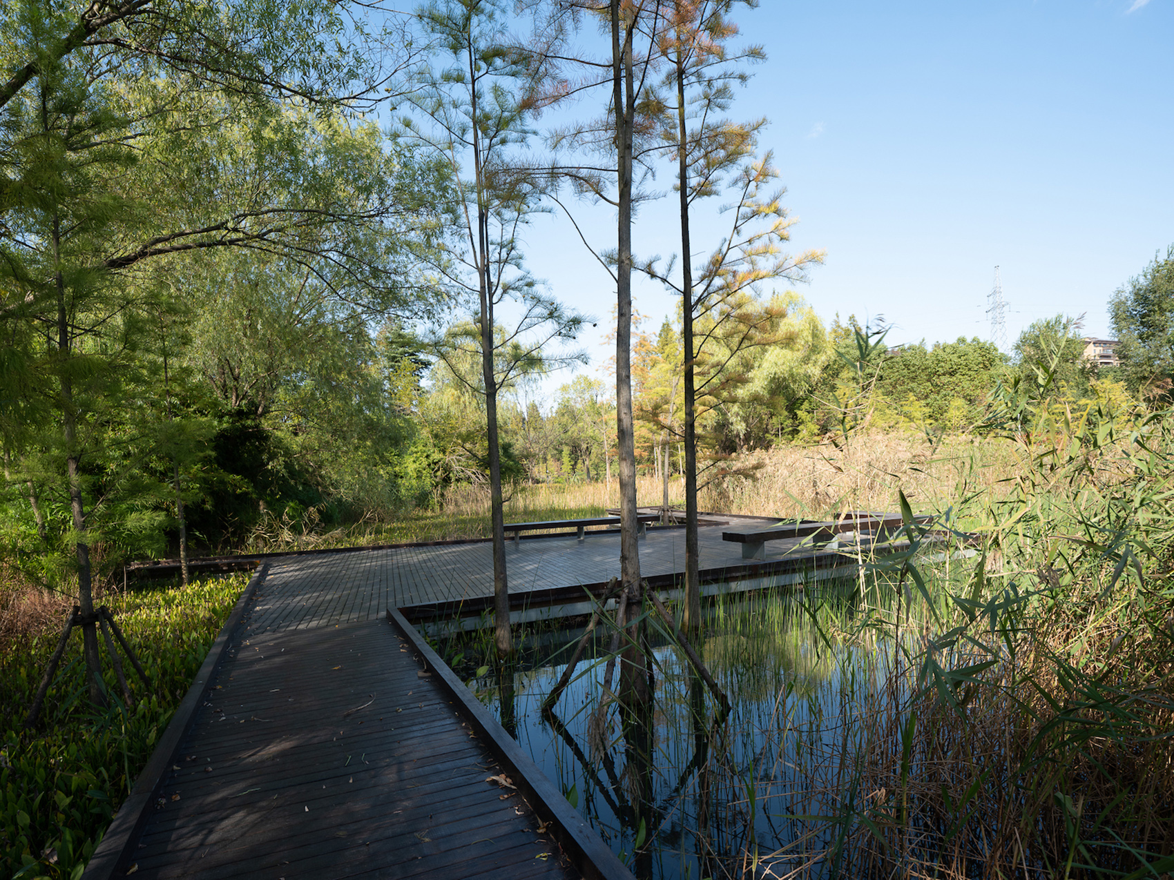 Forest Park West Entry: Breaking Barriers to Connect Neighborhood ...