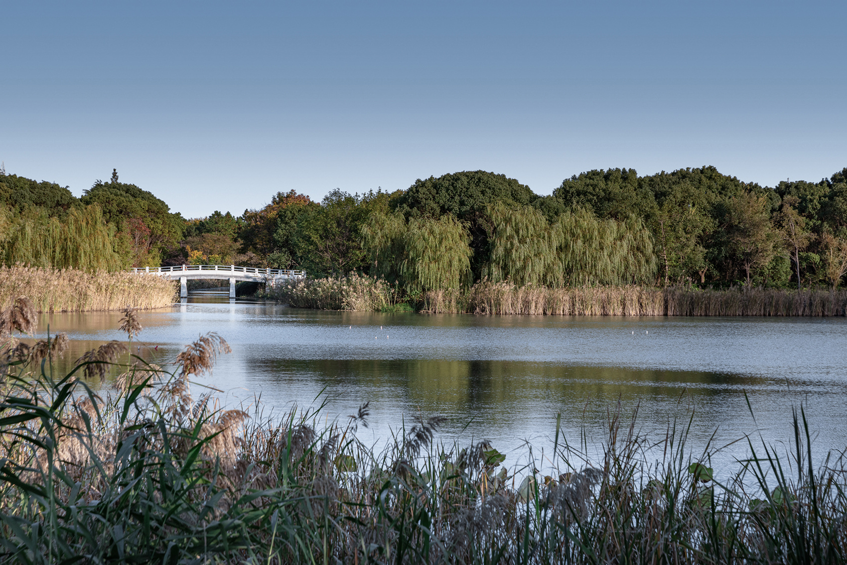Forest Park West Entry: Breaking Barriers to Connect Neighborhood Landscape Infrastructure ...
