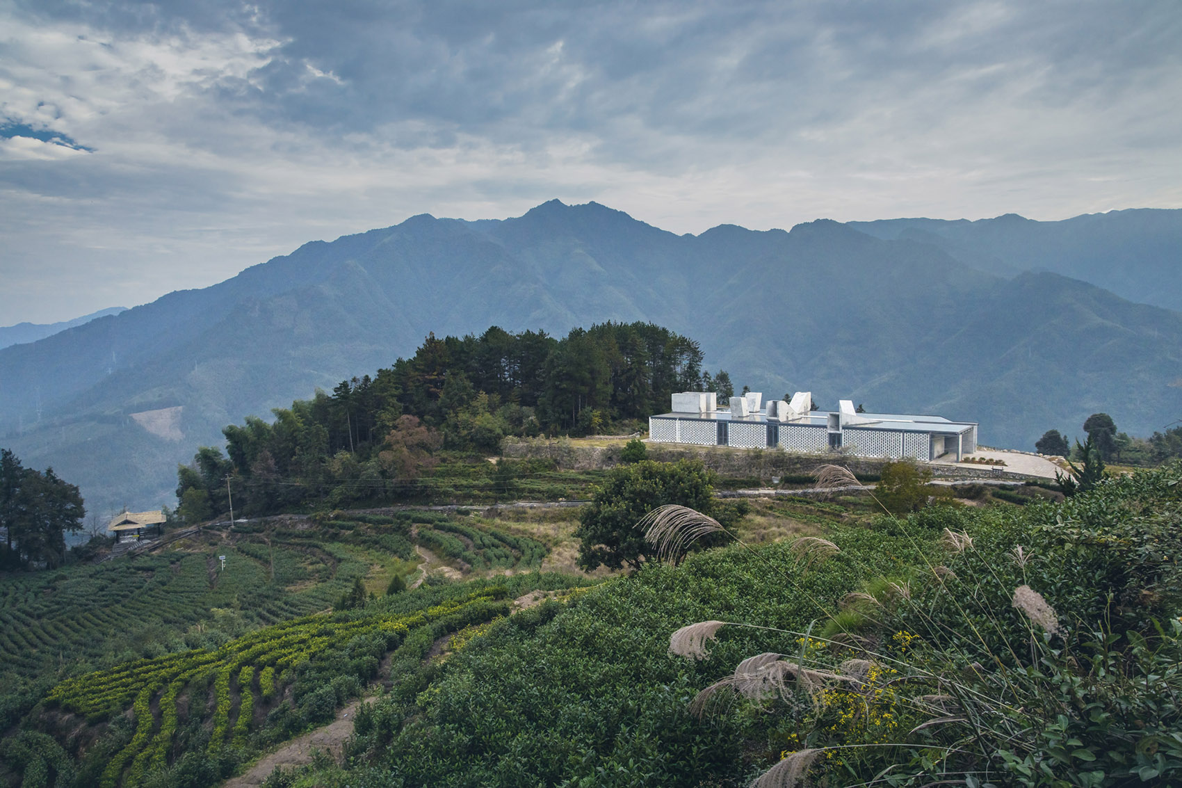 惠明茶工坊，浙江丽水 / DnA建筑事务所 - 谷德设计网