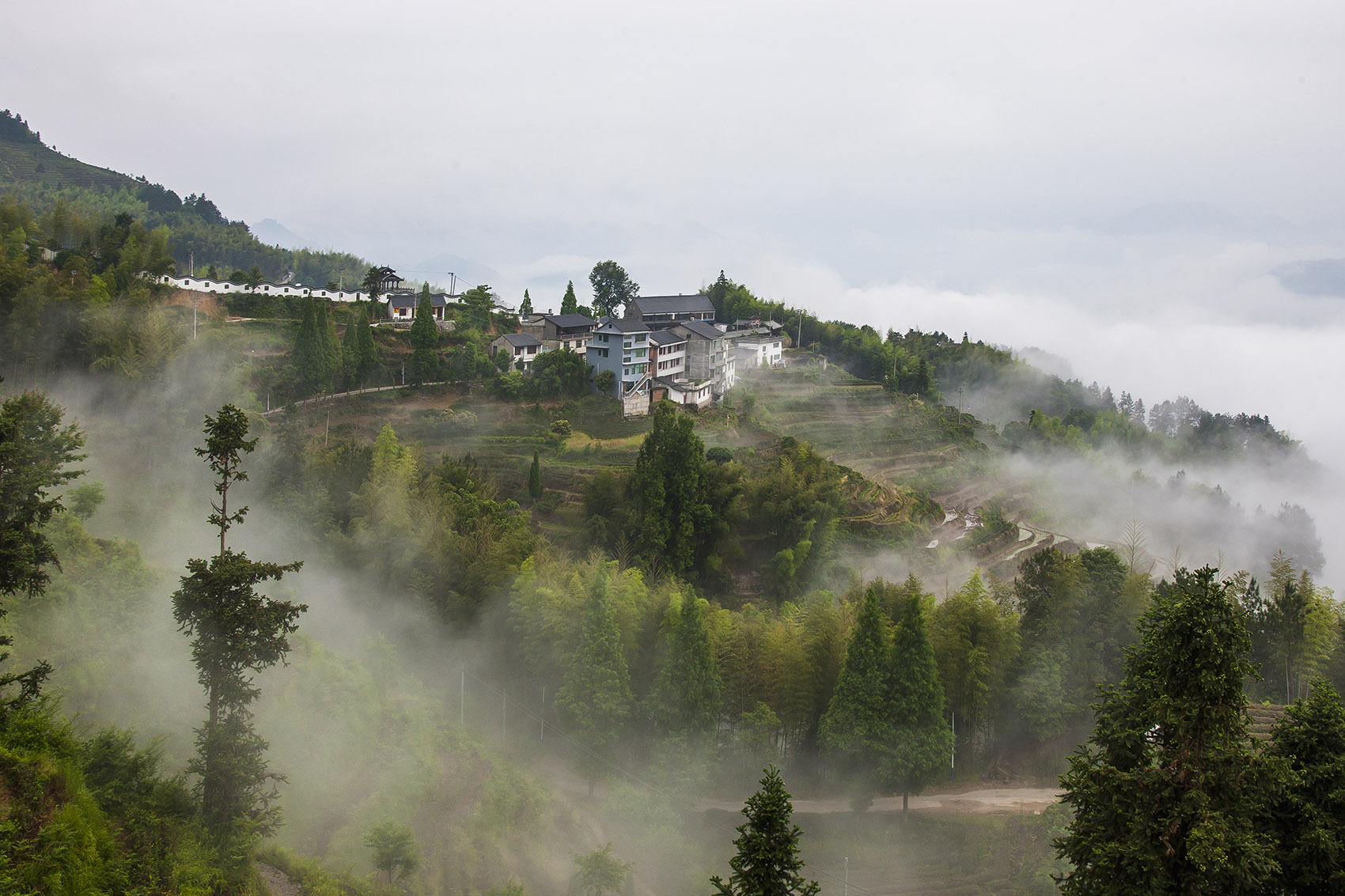 惠明茶工坊，浙江丽水 / DnA建筑事务所 - 谷德设计网