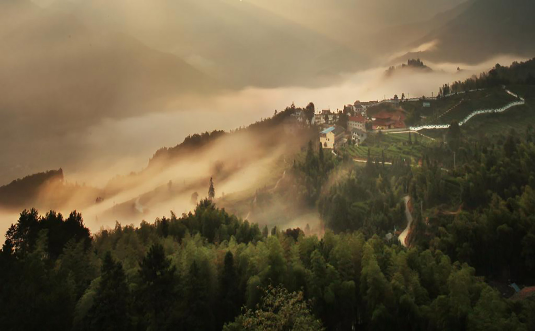 惠明茶工坊，浙江丽水 / DnA建筑事务所 - 谷德设计网