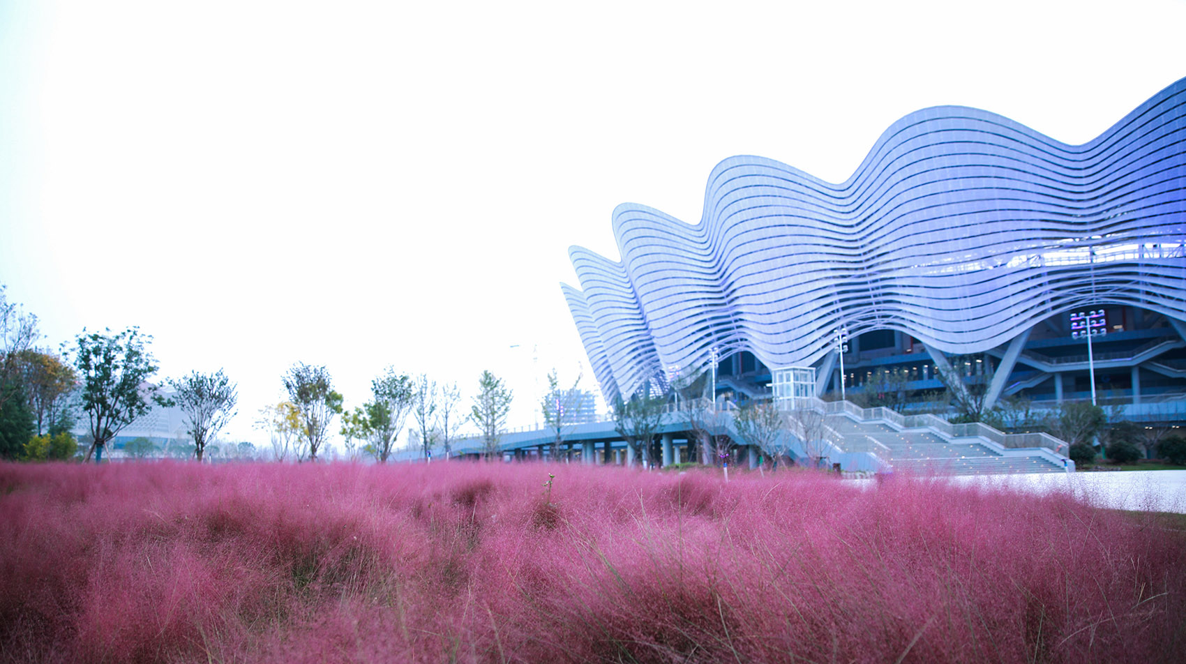 Design of the Landscape of Xi’an Olympic Sports Center Project, China ...