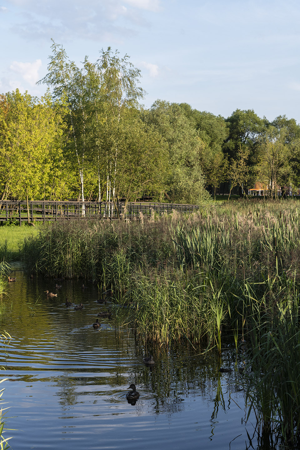 Park on the Banks of the Moskva River in Kapotnya by WOWHAUS - 谷德设计网