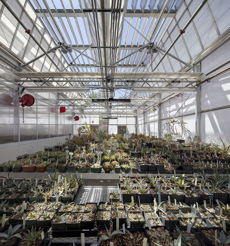 Desert Botanical Garden – Phase I by / 180 Degrees Design + Build ...