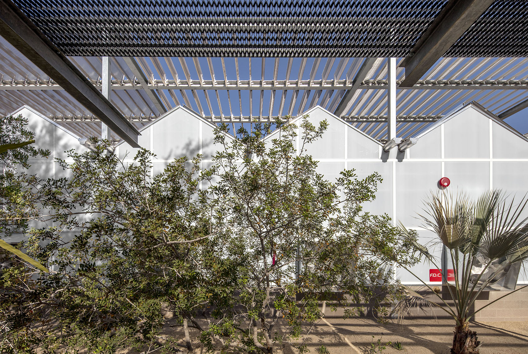 Desert Botanical Garden – Phase I by / 180 Degrees Design + Build ...