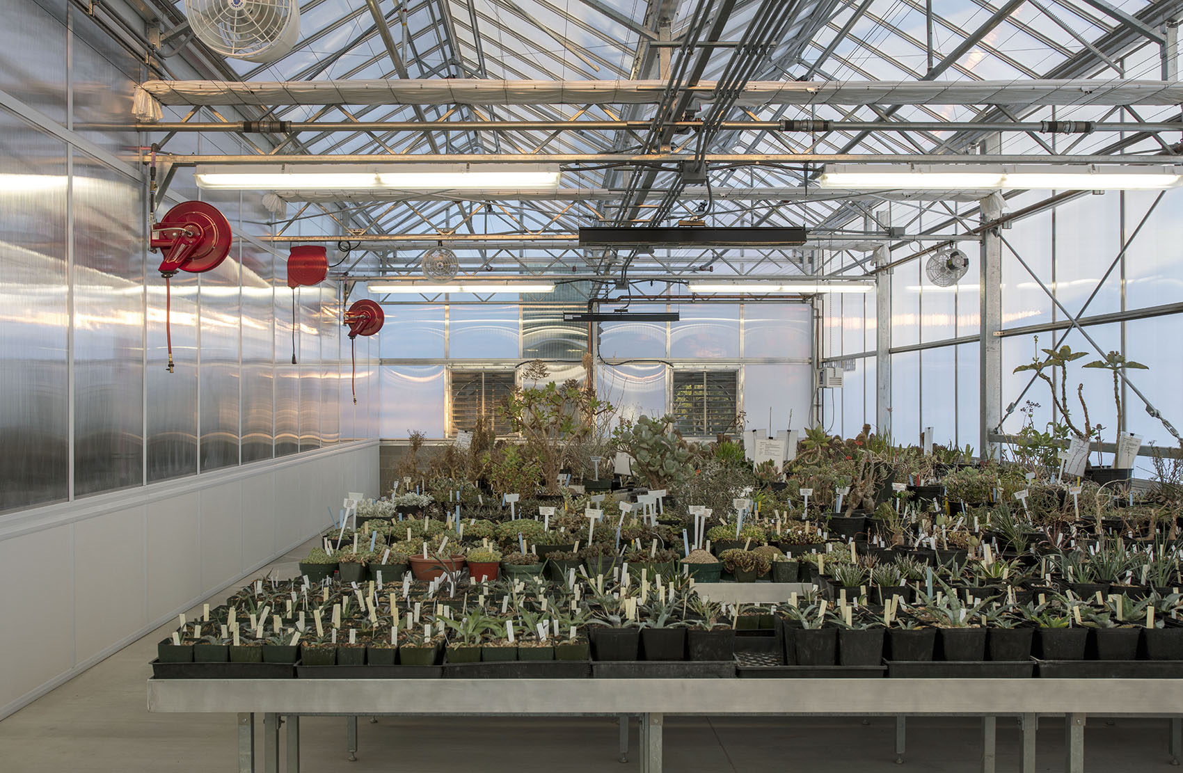 Desert Botanical Garden – Phase I by / 180 Degrees Design + Build ...