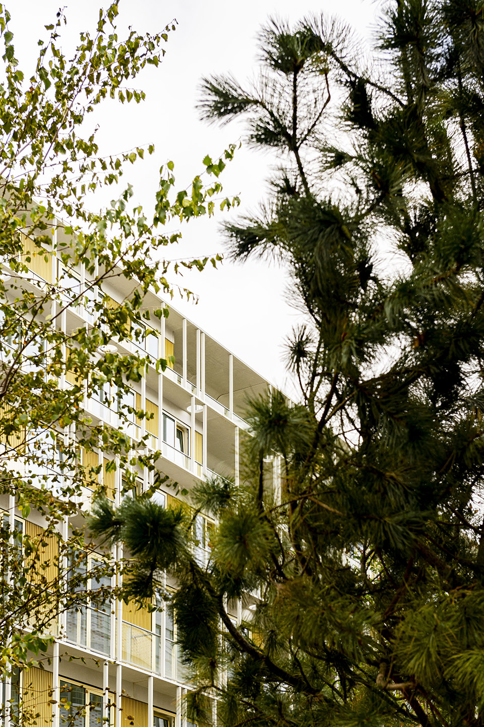 The Line，Amsterdam by Orange Architects - 谷德设计网