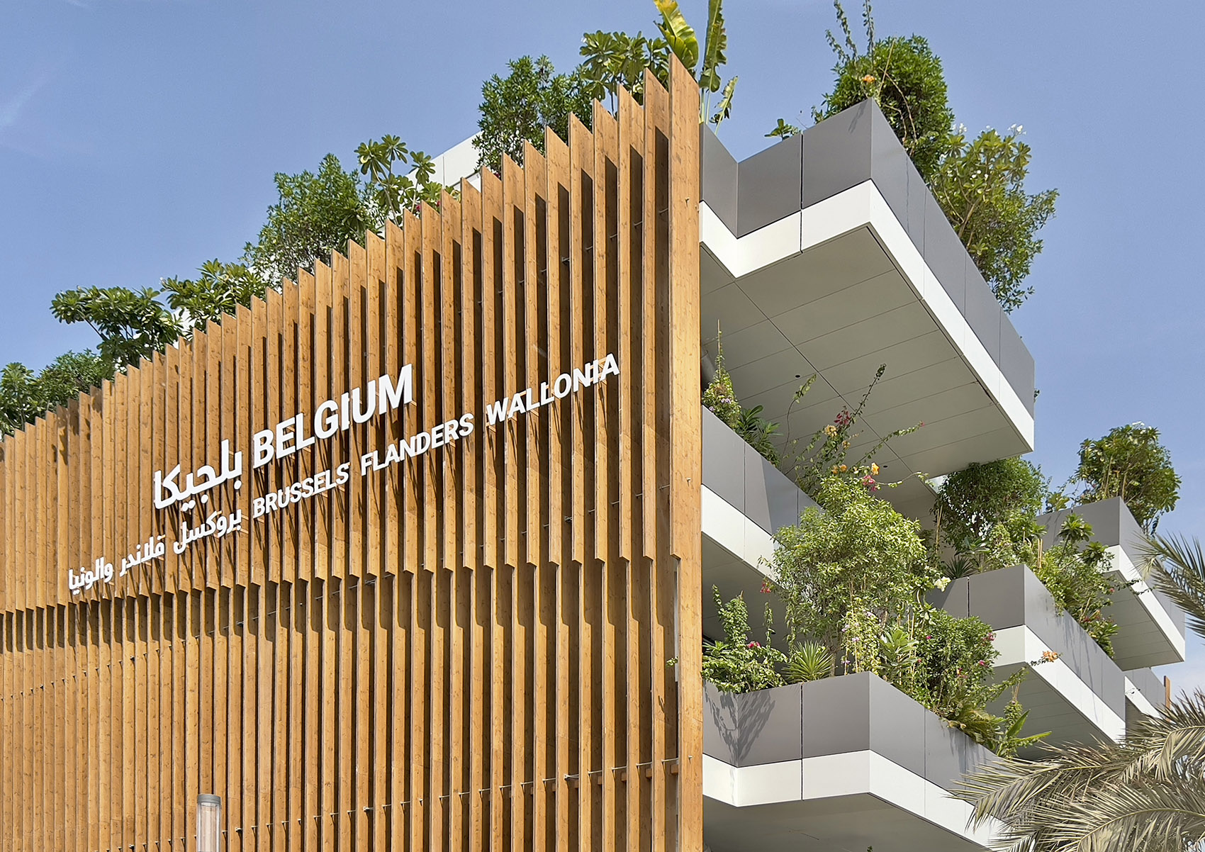 THE GREEN ARCH – Belgian Pavilion at Expo 2020 Dubai by Vincent ...