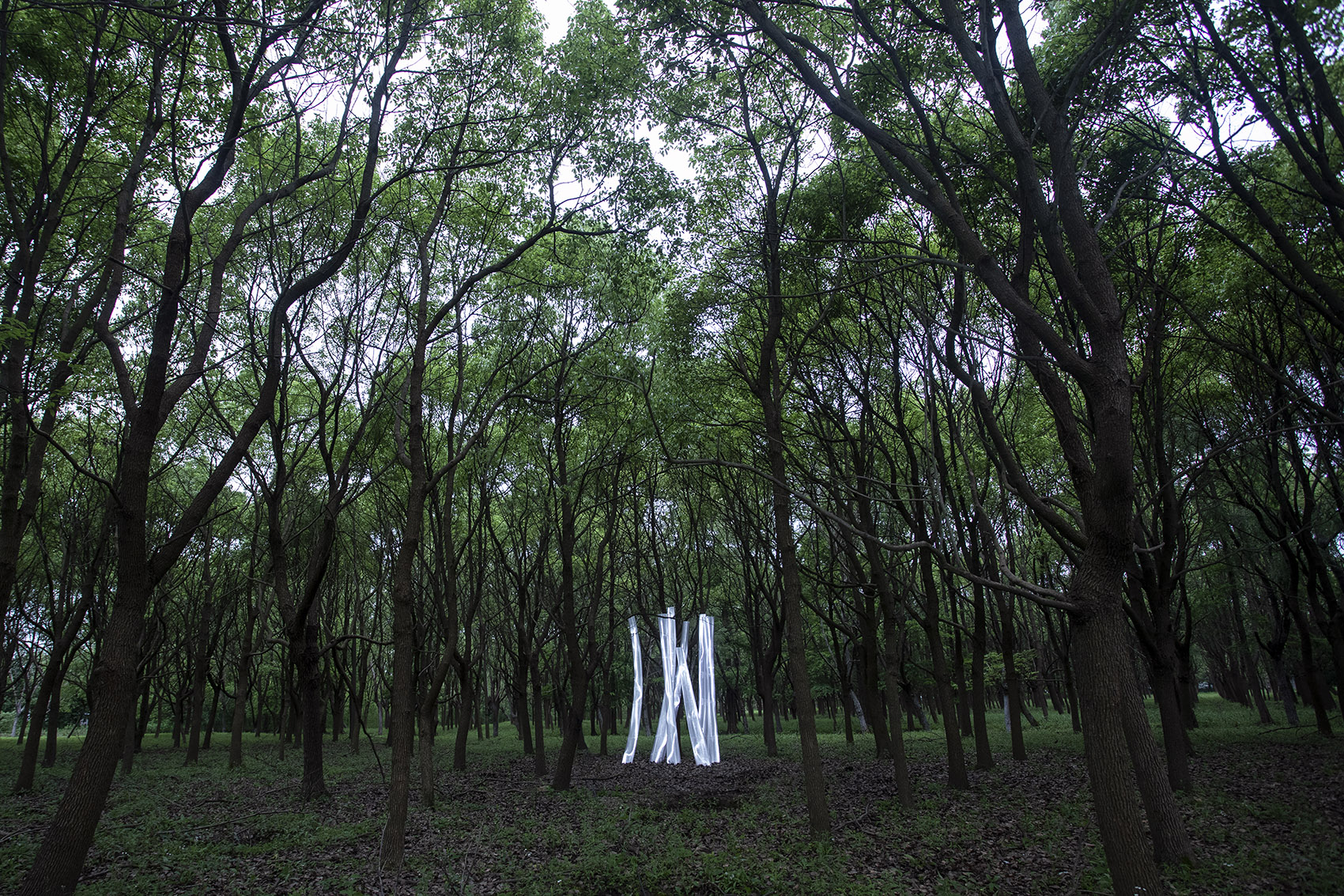Installations for Xintiandi Design Festival in Design Shanghai 2021 - 谷德设计网