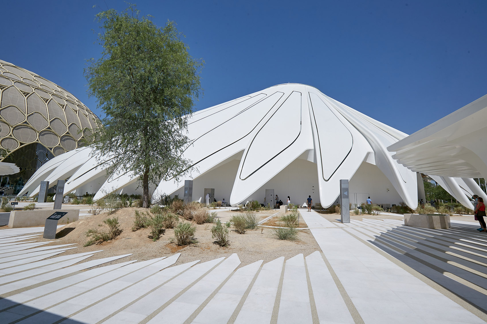 Guest experience design for UAE Pavilion at Expo 2020 Dubai by ...