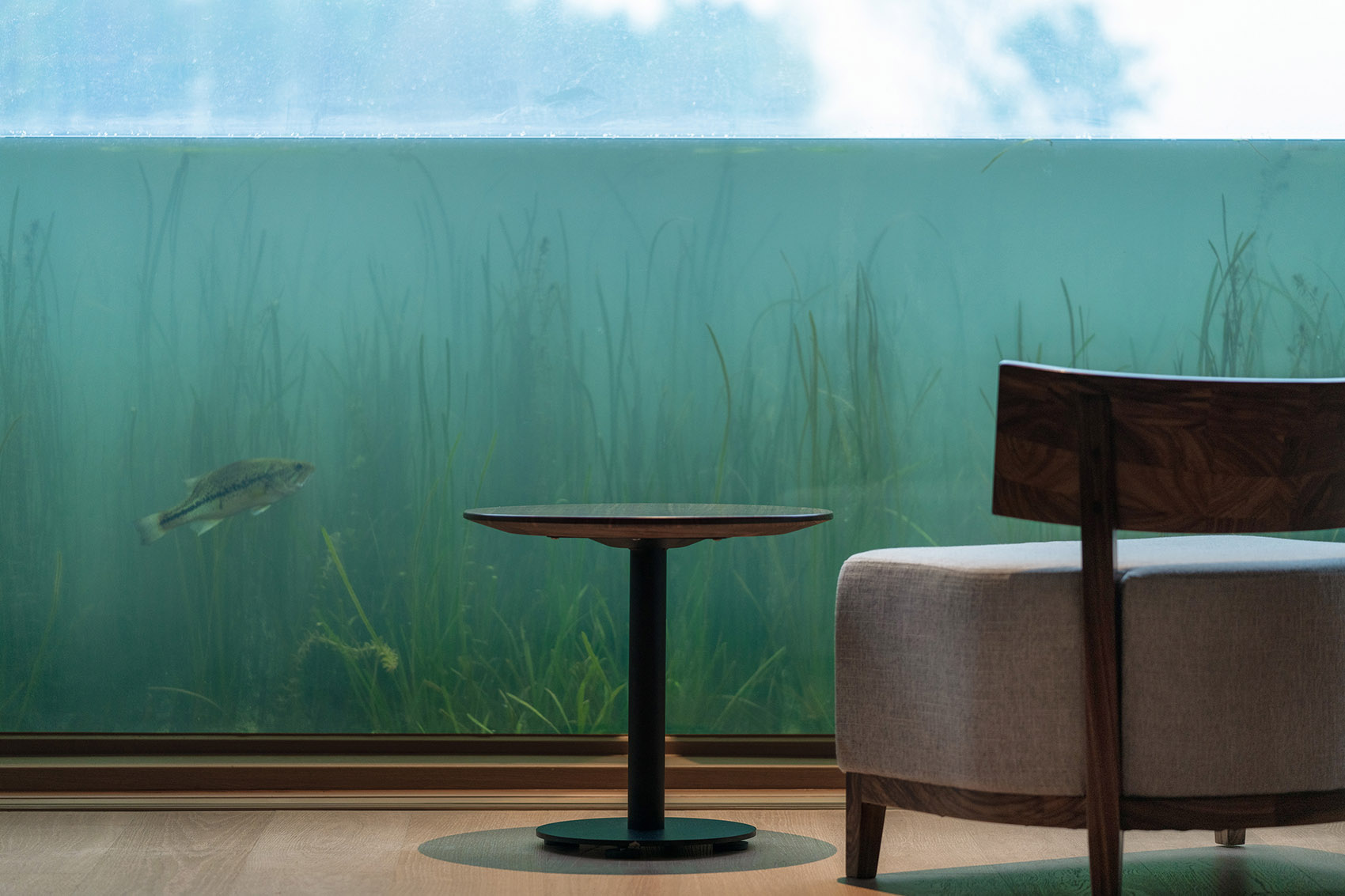 Chengdu Xinglong Lake CITIC Bookstore, China by MUDA-Architects - 谷德设计网