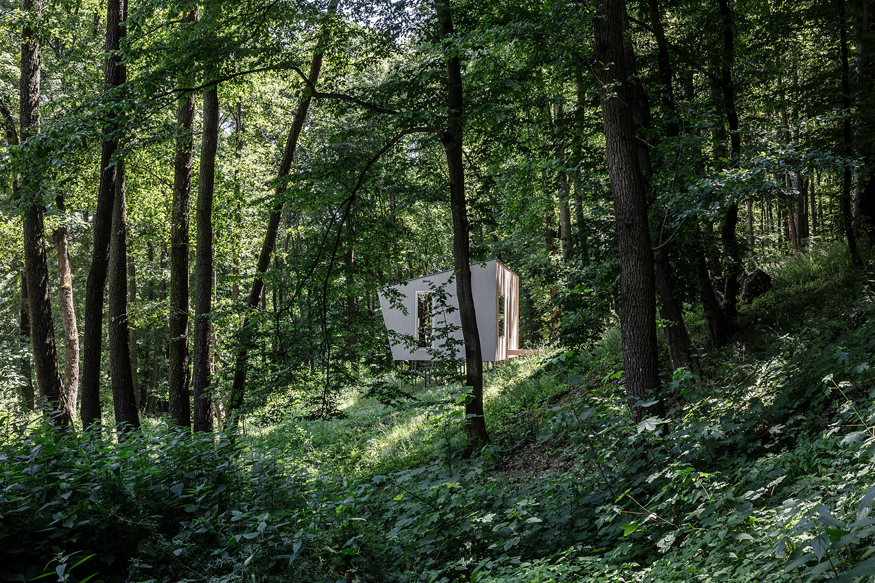 Cabin Moss by Béres Architects - 谷德设计网