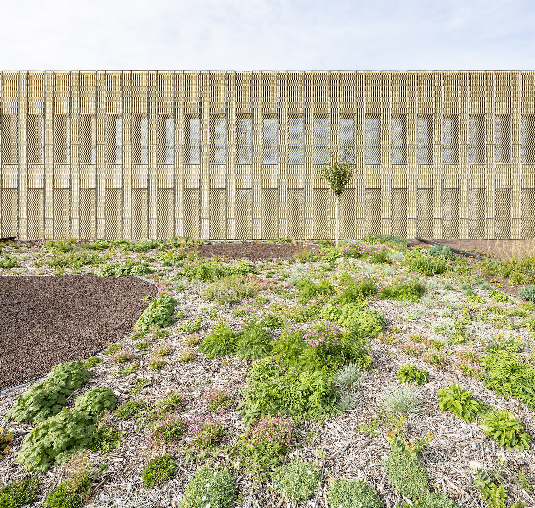 SNCF Rail Operating Center in Pantin by SCAPE - 谷德设计网