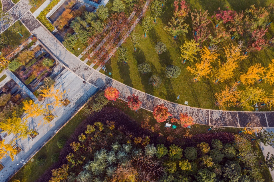 Ecological Wetland Sports Health Park of Sha River Corridor in Xixian ...